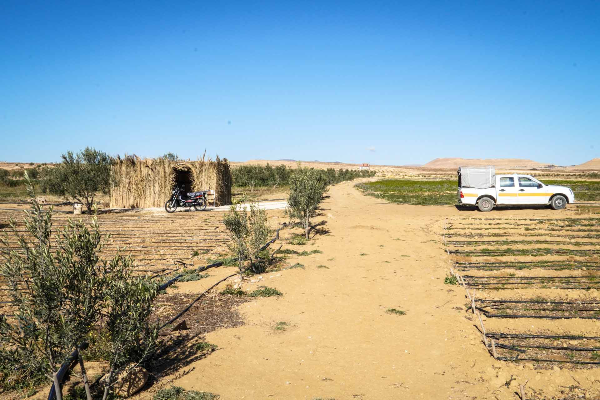 In Makthar Kid Chen Project Is Aiming To Ensure The Food Self